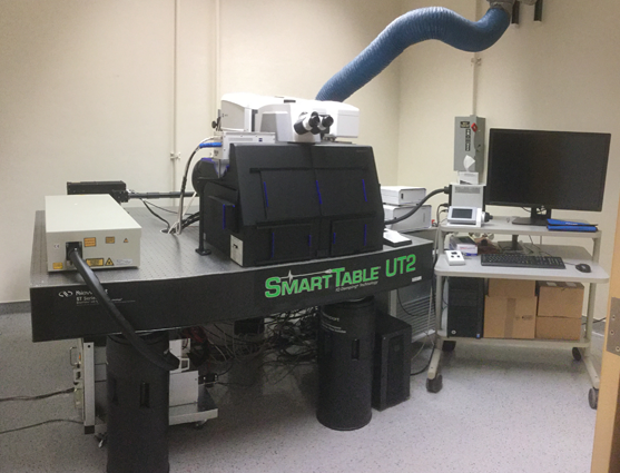 Zeiss LSM880 NLO Upright Multiphoton/Confocal Microscope with Fast ...