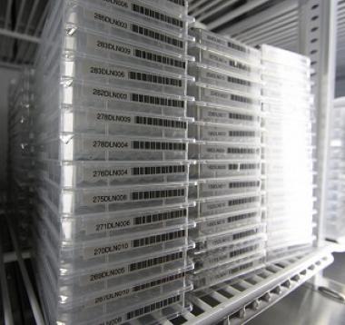 DNA Extraction | ORP Core Facilities | University of Arizona